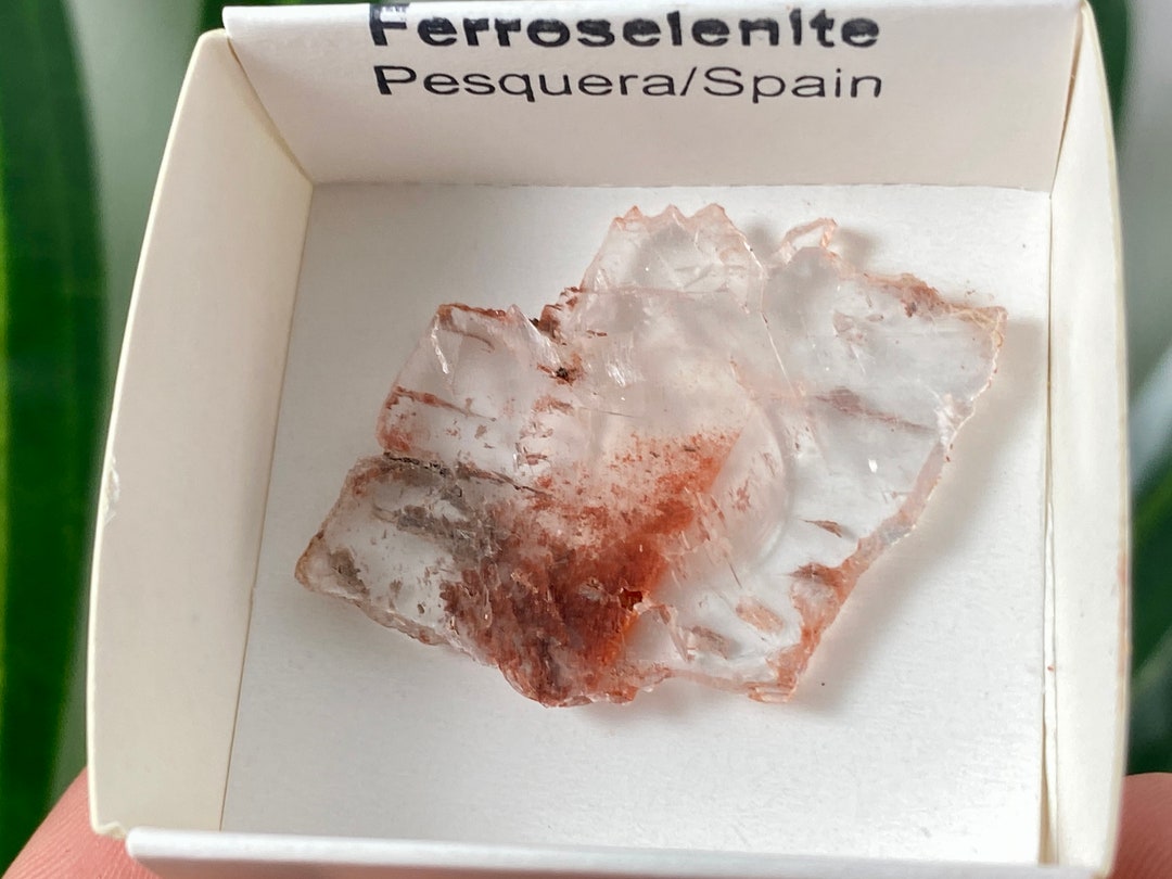 Very Rare Ferro Selenite From La Pesquera, Cuenca,castile-la Mancha ...