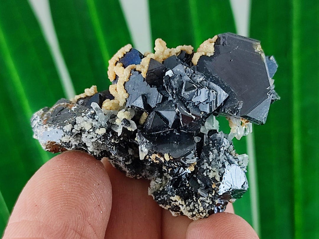 Sphalerite and Dolomite From Krushev Dol Mine,madan Ore Field,rhodope ...