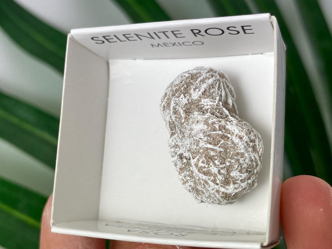 Selenite Rose From Mexico – Gypsum Desert Rose Crystal,mineral ...