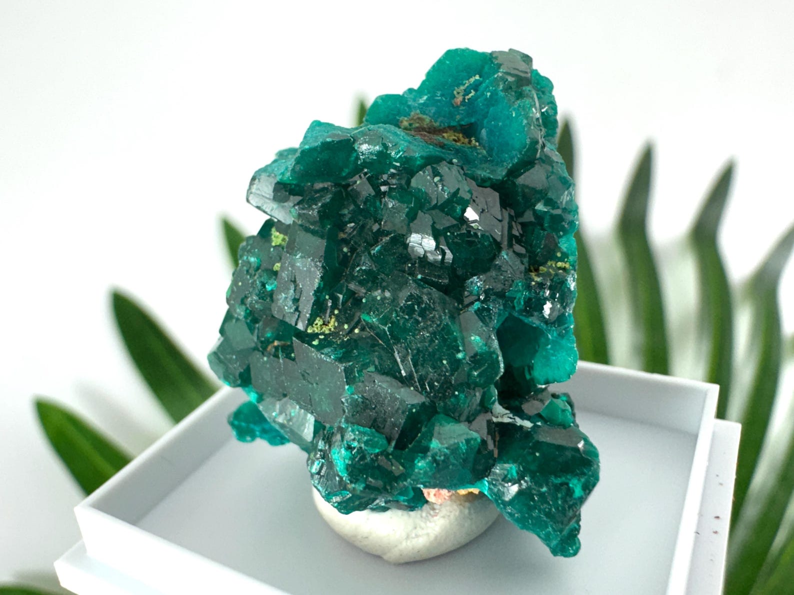 Beautiful Green Dioptase From Sanda Hills,mindouli,pool Department ...