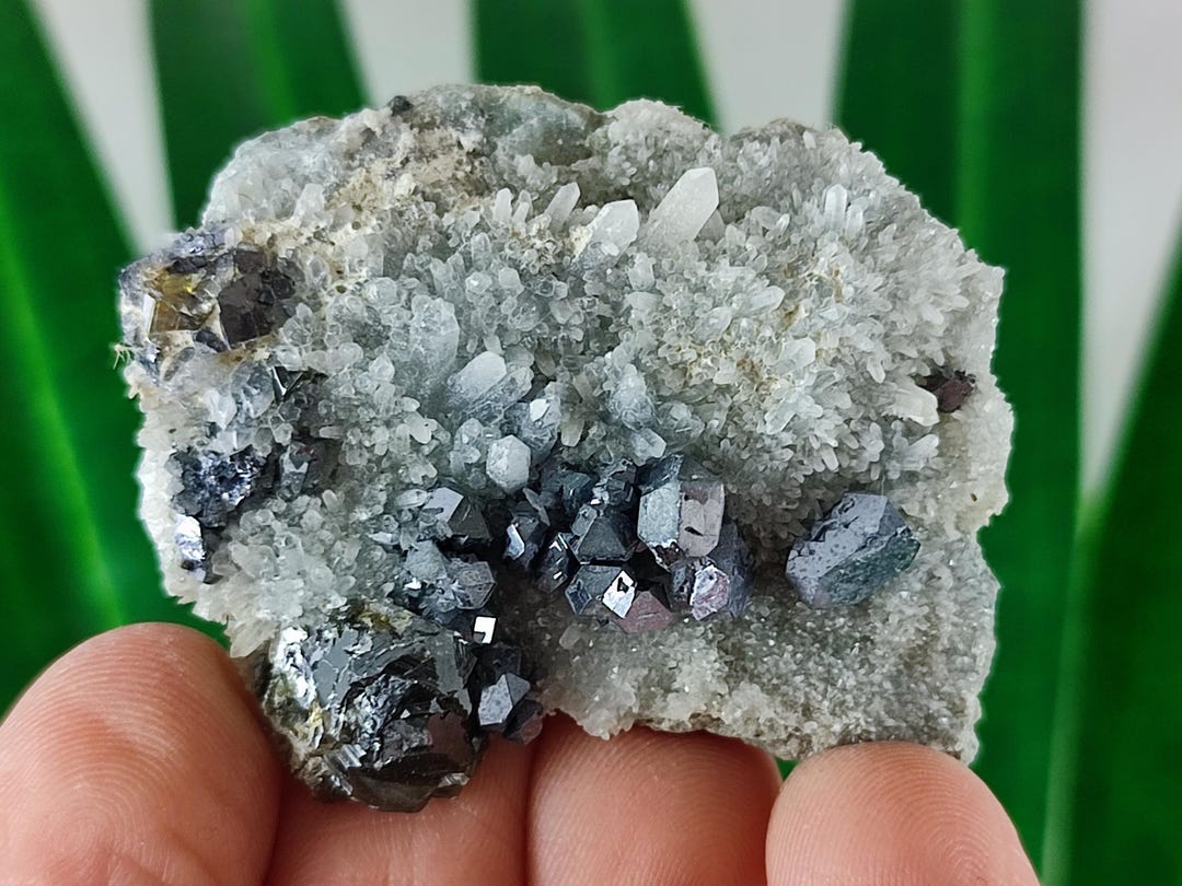 Quartz With Galena and Gem Sphalerite From Krushev Dol Mine,madan Ore ...