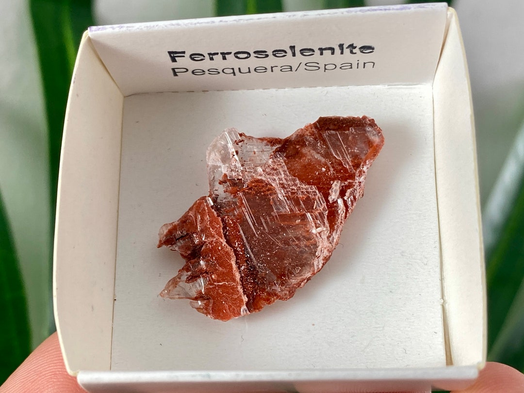 Very Rare Ferro Selenite From La Pesquera, Cuenca,castile-la Mancha ...