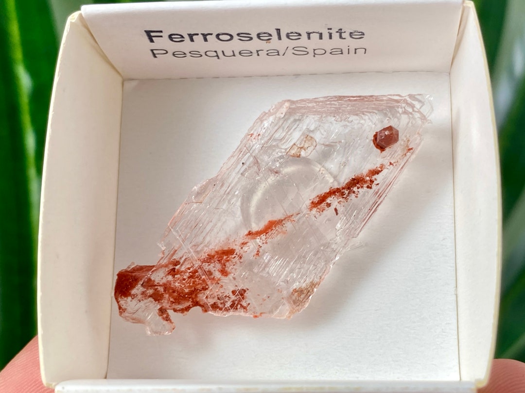 Very Rare Ferro Selenite From La Pesquera, Cuenca,castile-la Mancha ...