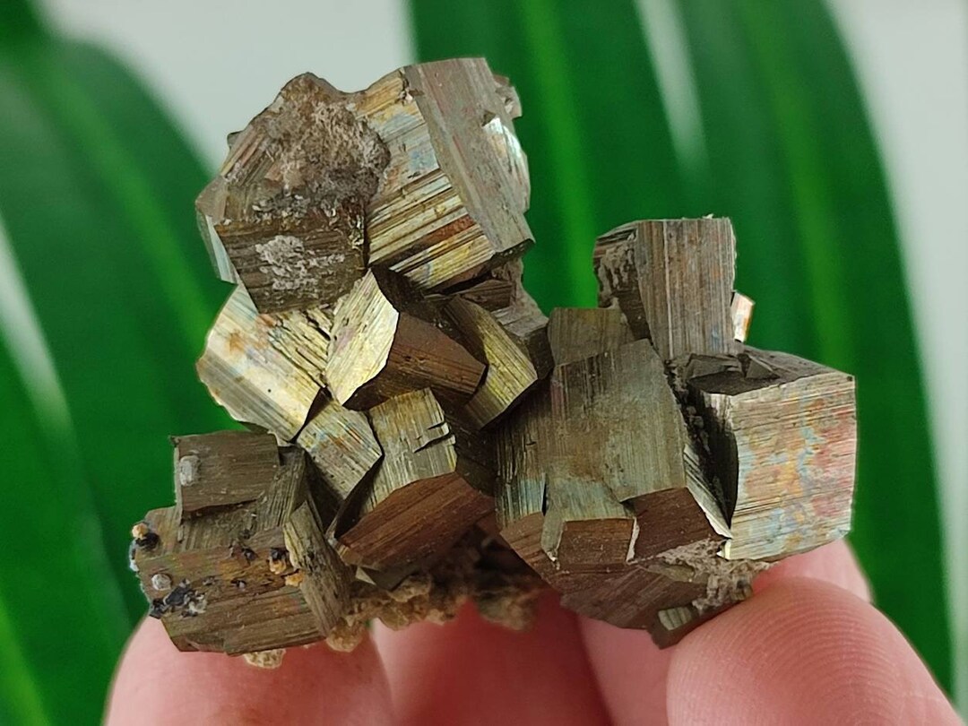Amazing Pyrite From Borieva Mine,madan Ore Field,rhodope Mts,smolyan ...