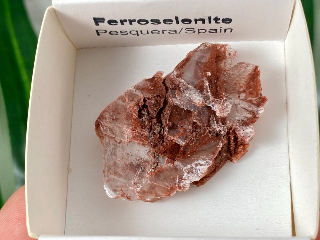 Very Rare Ferro Selenite From La Pesquera, Cuenca,castile-la Mancha ...