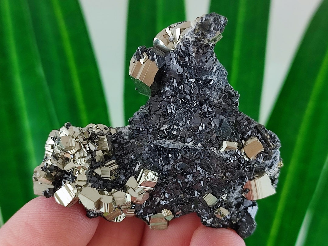 Amazing Golden Pyrite With Sphalerite From Borieva Mine,madan Ore Field ...