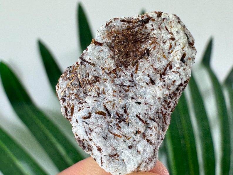 Astrophyllite: Russia – Natural Mineral With Bronze-gold Shine,mineral ...