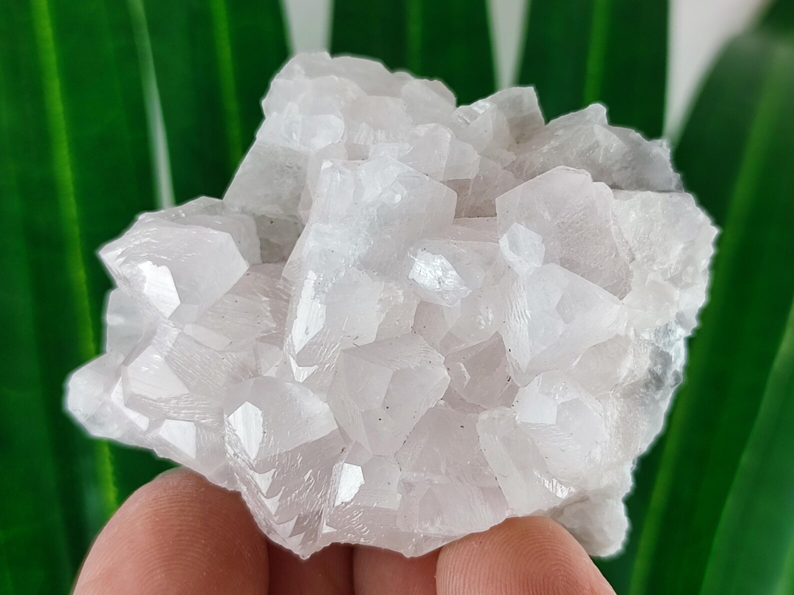 Fluorescent Mangano Calcite From Androvo Mine,zlatograd,bulgaria ...