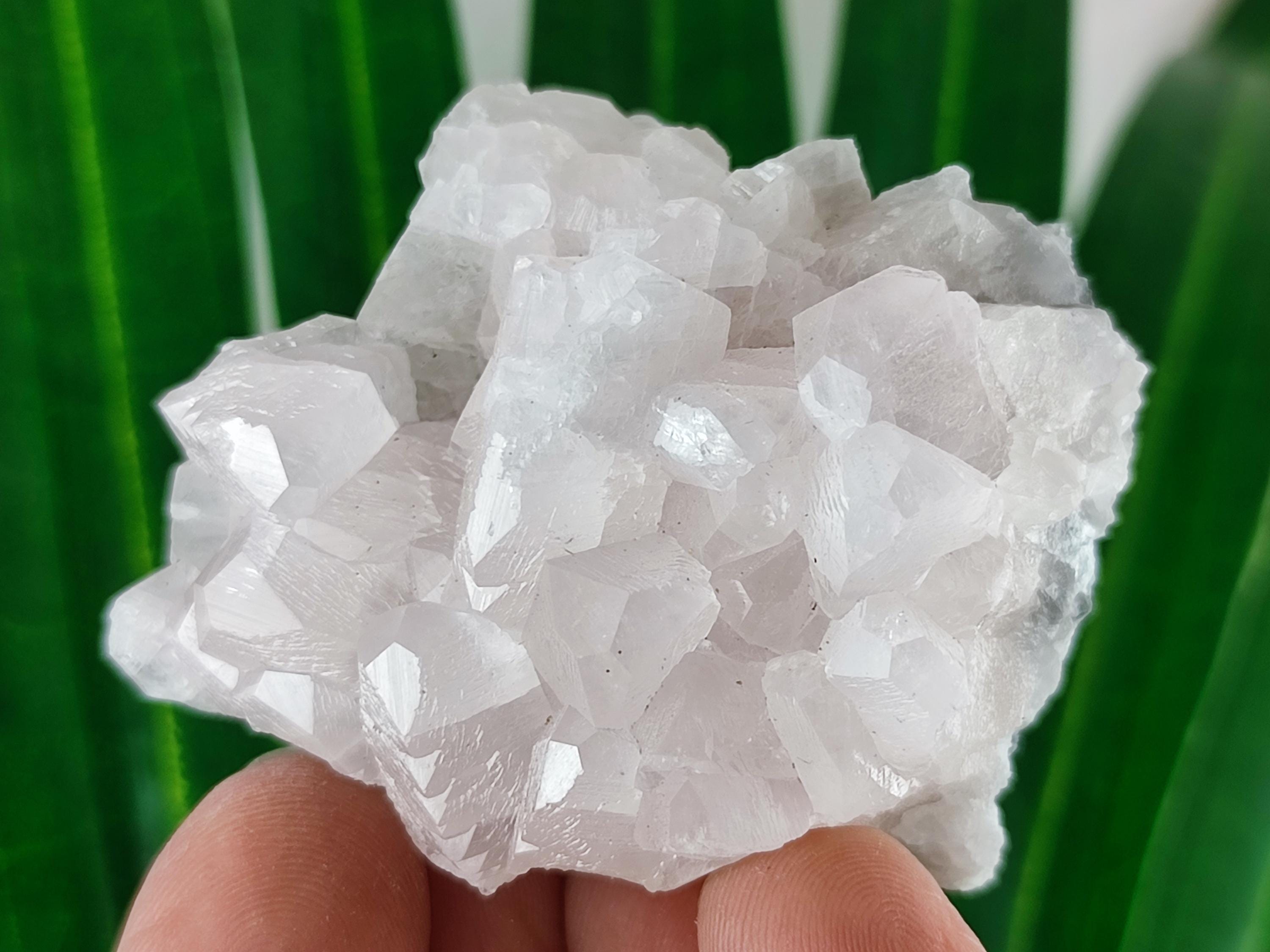 Fluorescent Mangano Calcite From Androvo Mine,zlatograd,bulgaria ...