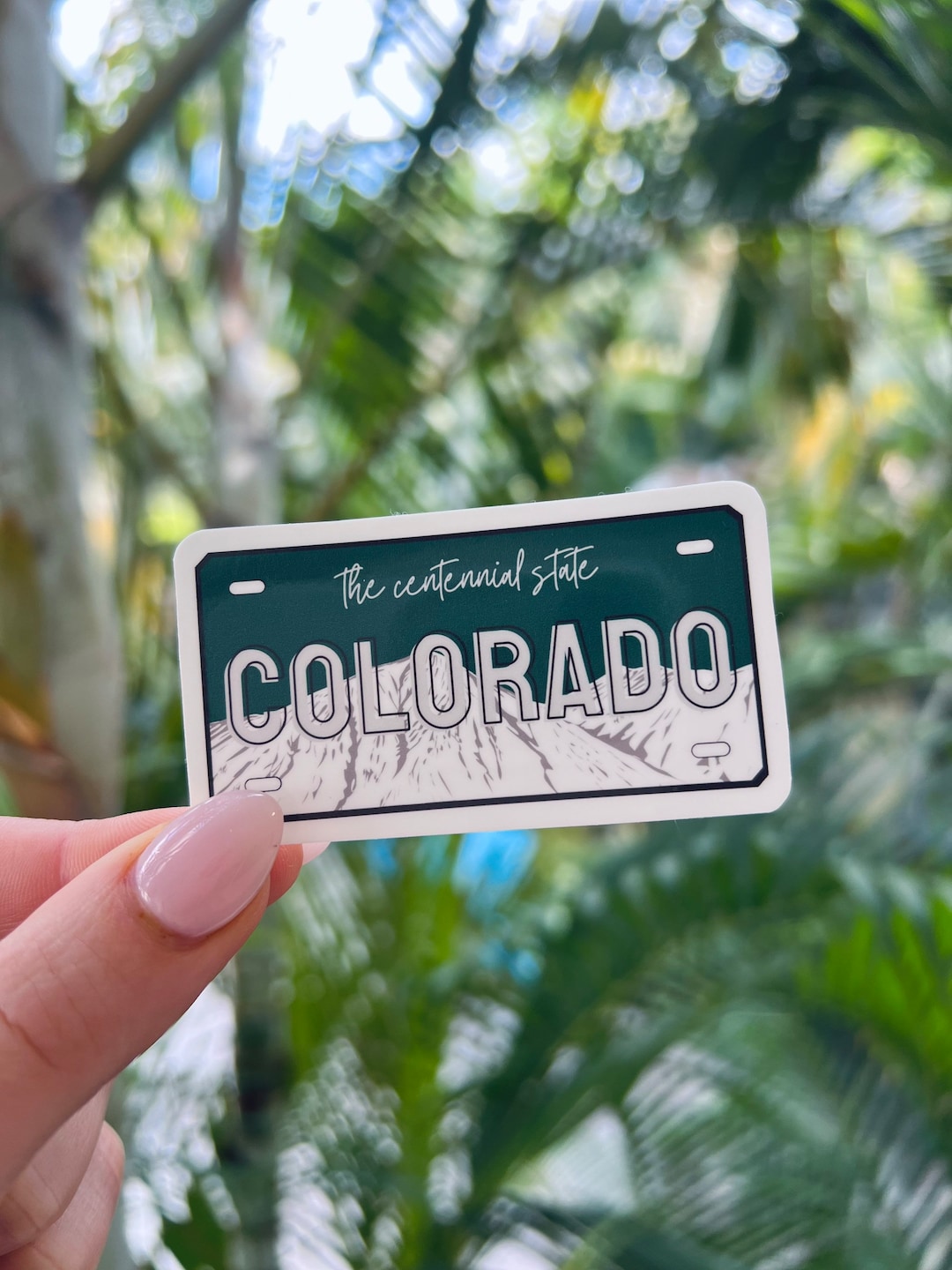 Colorado Sticker | Colorado License Plate | Colorado Tag Sticker - Etsy