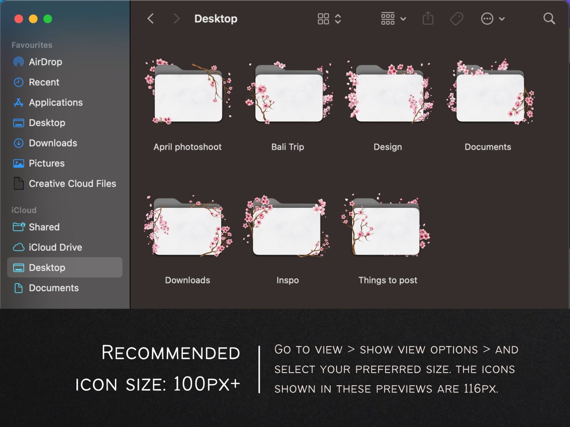 Cute Folder Icons, Windows and Mac Folder Icons, Floral Desktop Icons ...