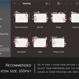 Cute Folder Icons, Windows and Mac Folder Icons, Floral Desktop Icons ...