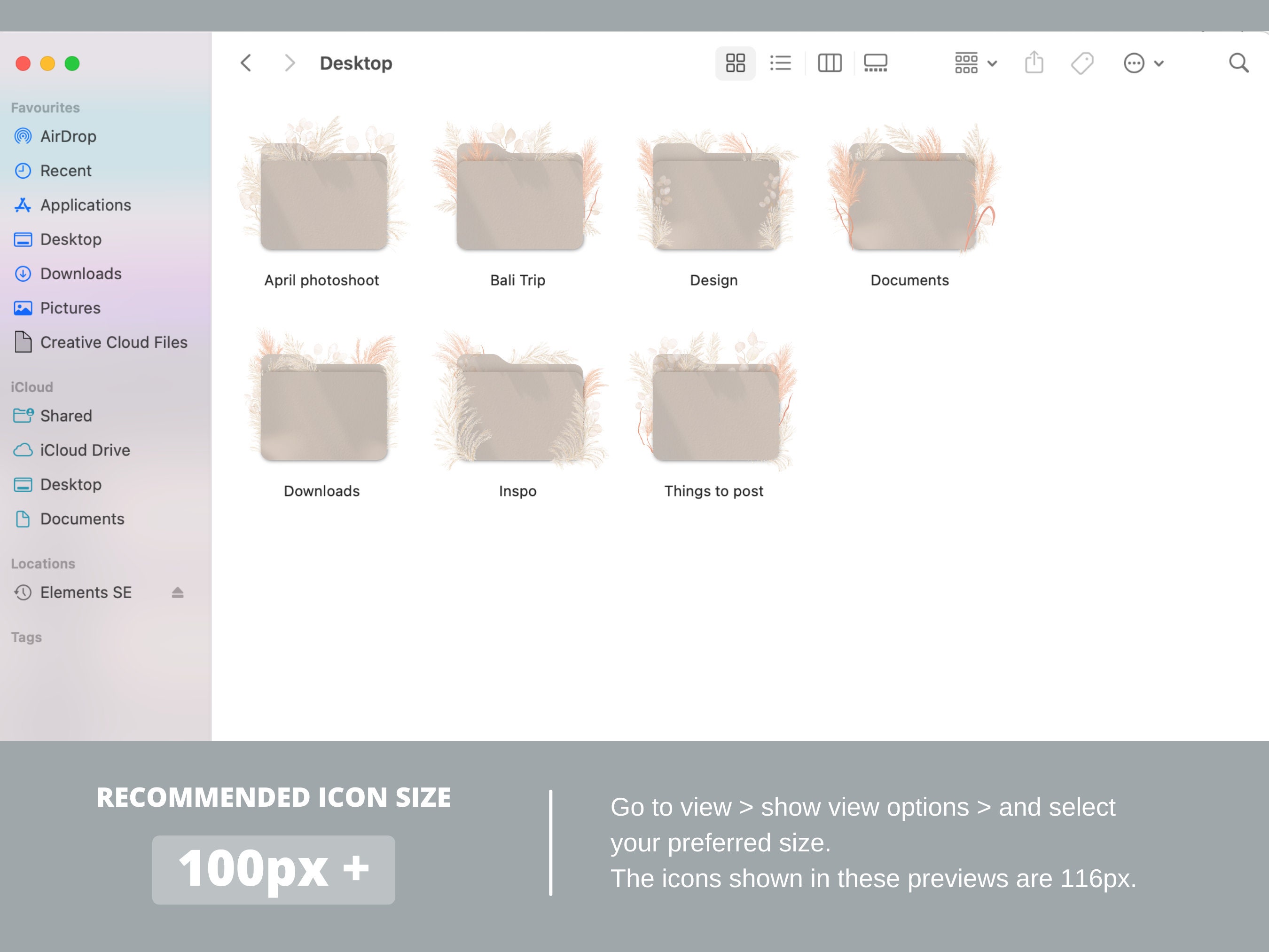 Boho Folder Icons for Mac and Windows | Pampas Grass Folders ...