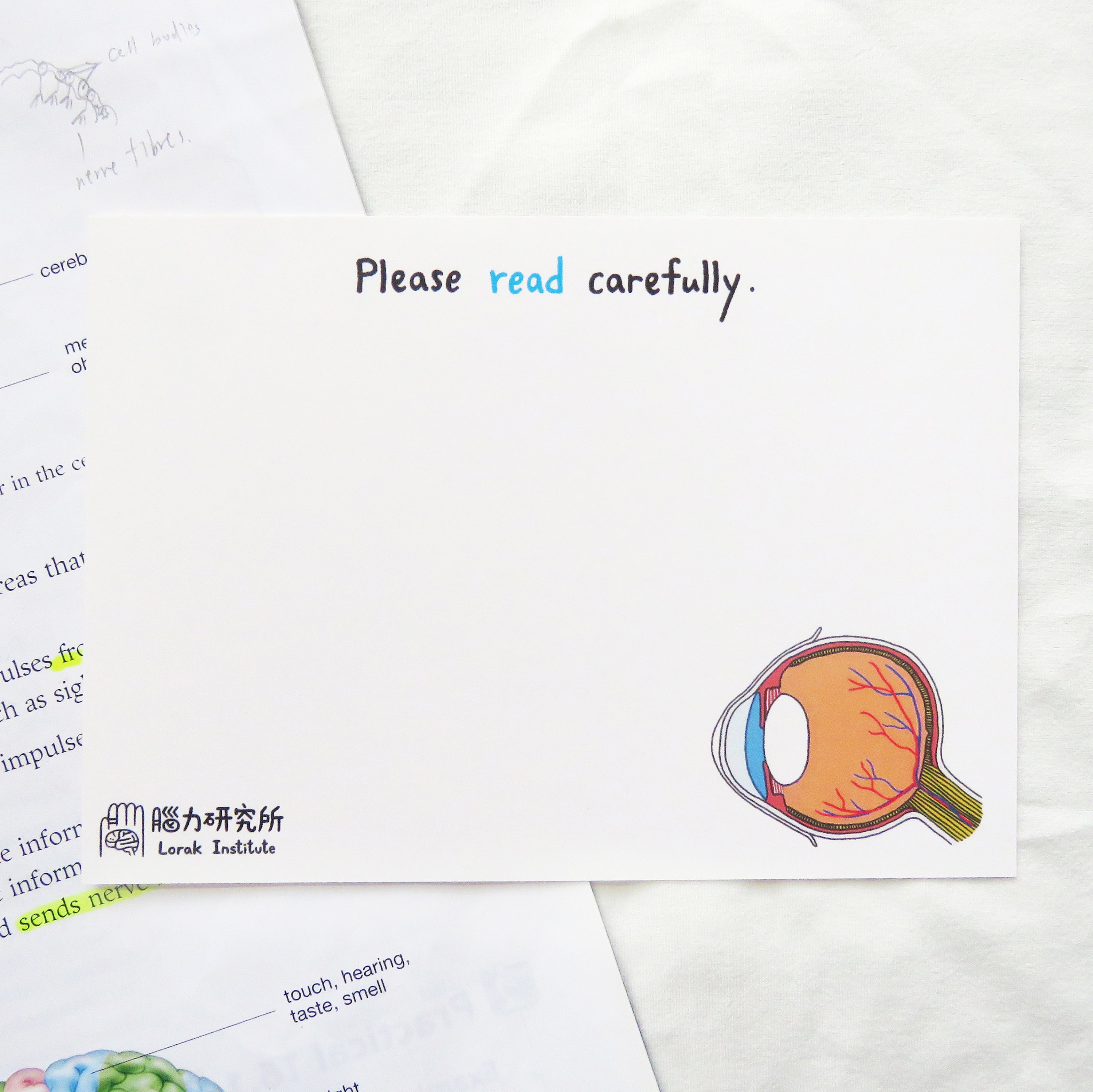 Eye postcard science postcard biology postcard anatomy | Etsy