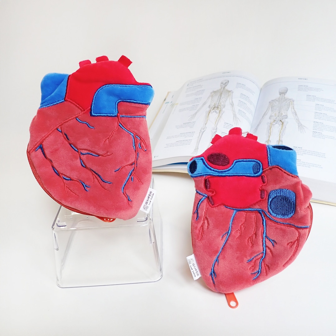 Heart Pouch, Organ Pouch, Anatomy Totebag, Gift for Nurse, Gift for ...