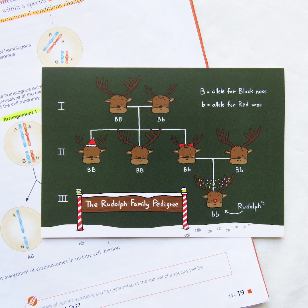 Reindeer Biology Christmas Card, Science Christmas Card, Science ...