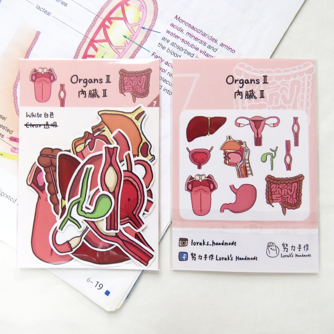 Organ Sticker Set II 10pcs internal organs laptop decal | Etsy