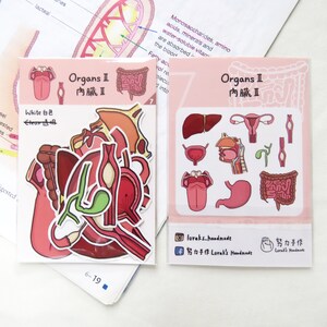 Organ Sticker Set II 10pcs Internal Organs Laptop Decal - Etsy