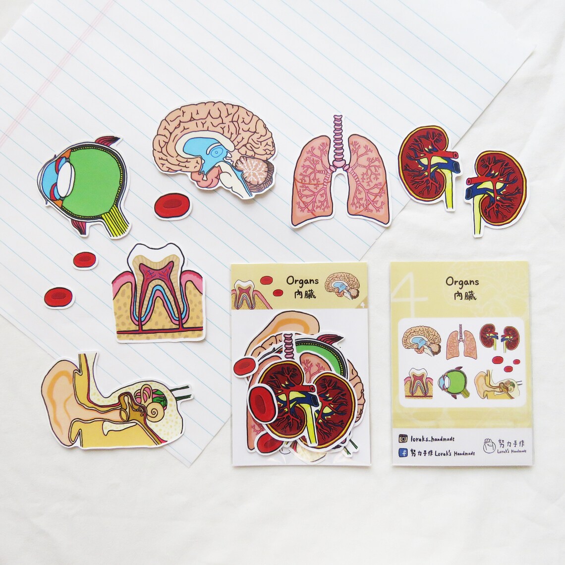 Organ Sticker Sets 10 pcs internal organs laptop decal | Etsy