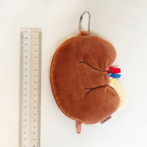 Kidney Pouch, Organ Pouch, Anatomy Totebag, Gift for Nurse, Gift for ...