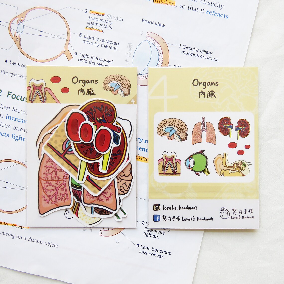 Organ Sticker Sets 10 pcs internal organs laptop decal | Etsy