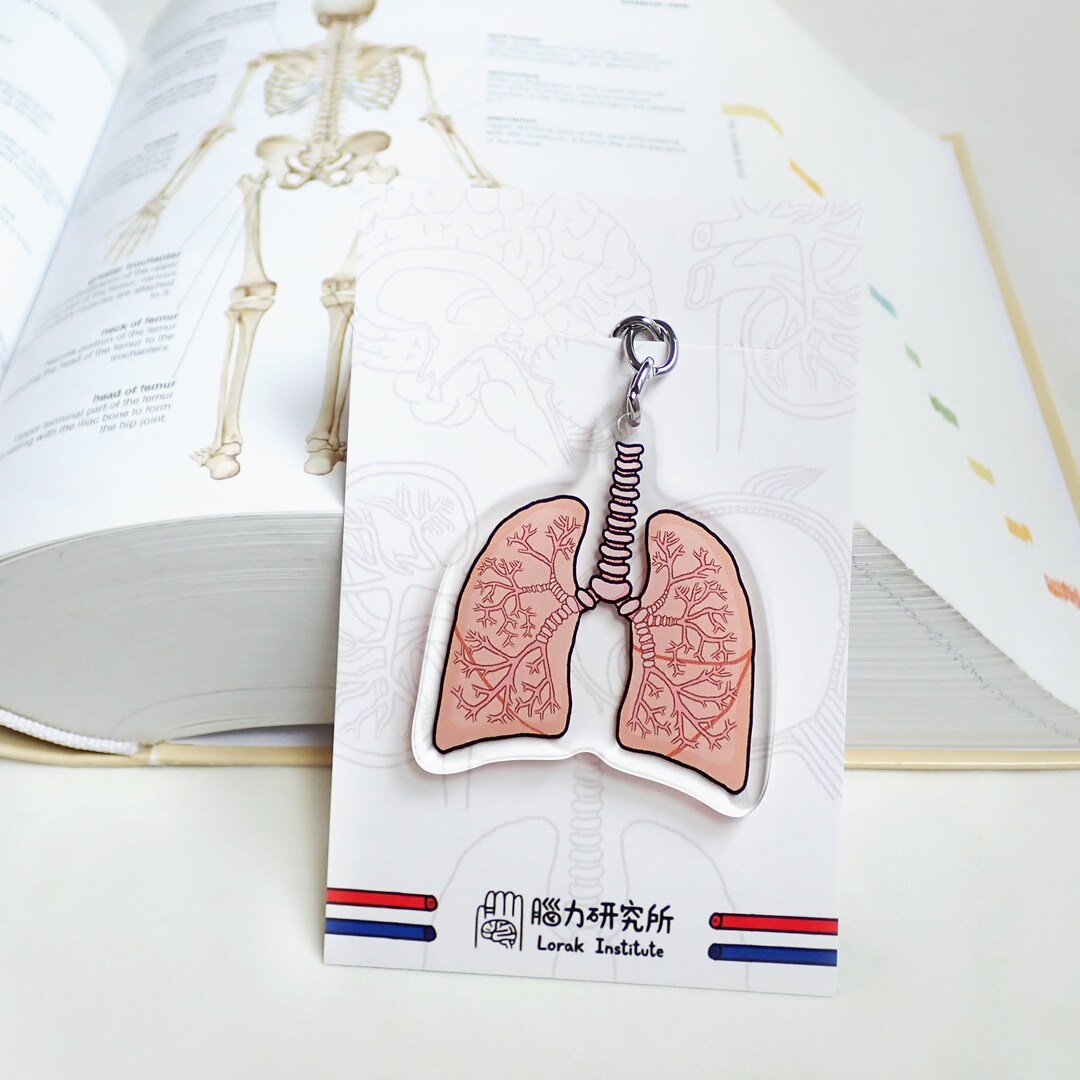 Lung Keychain, Science Keychain, Anatomy Keychain, Keychain for Doctor ...