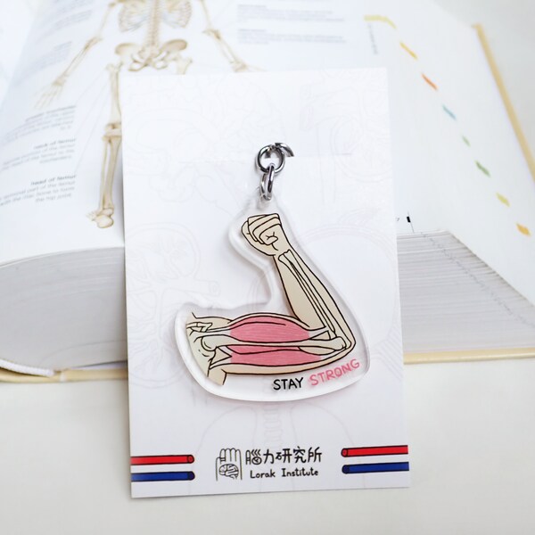 Anatomy Keychain - Etsy