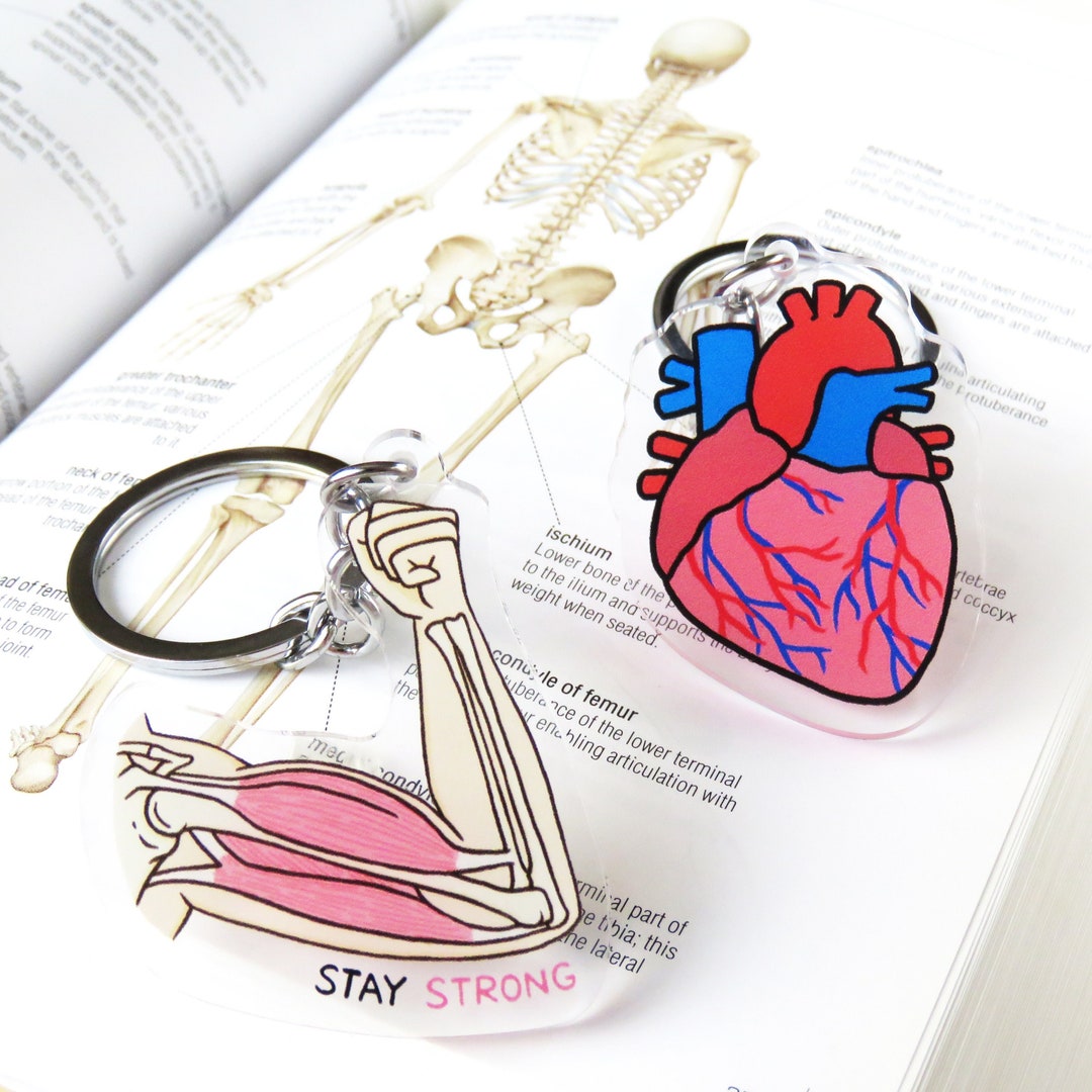 Heart Keychain Internal Organ Keychain Science Keychain - Etsy