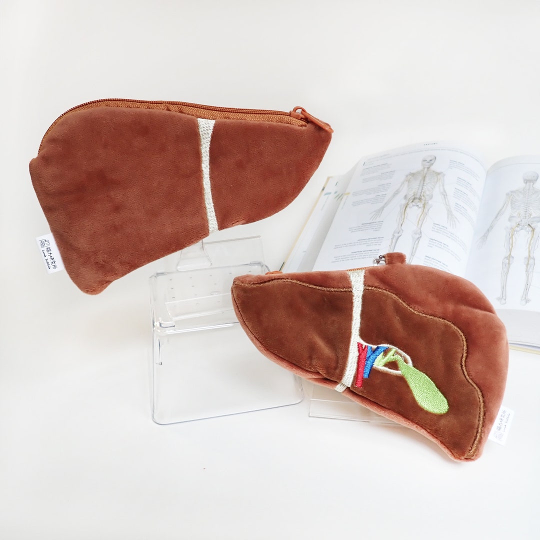Liver Pouch, Organ Pouch, Anatomy Totebag, Gift for Nurse, Gift for ...