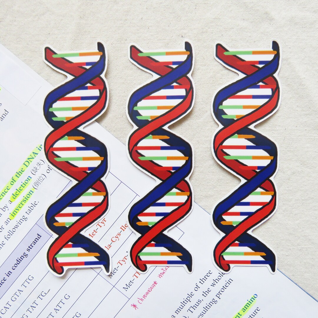 DNA Sticker / Scientist / Laptop Decal, Laptop Sticker / Science ...