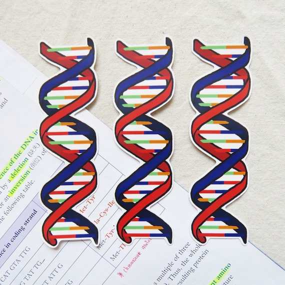 DNA Sticker / Scientist / Laptop Decal Laptop Sticker / | Etsy