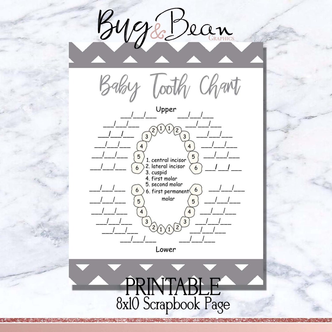 Tooth Chart - PRINTABLE - Baby Book Insert - Scrapbook Memory Page ...