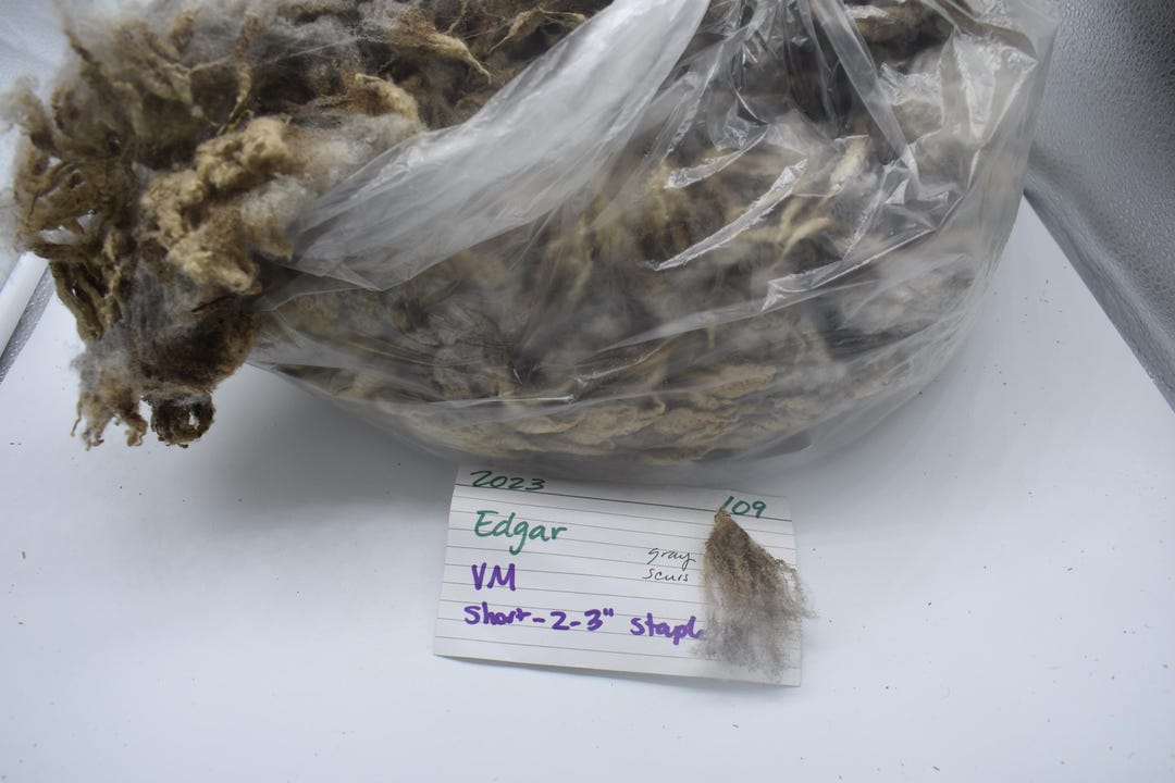 RAW Shetland Fleece - Shave 'em to Save 'em - Gray - Edgar - Shetland ...