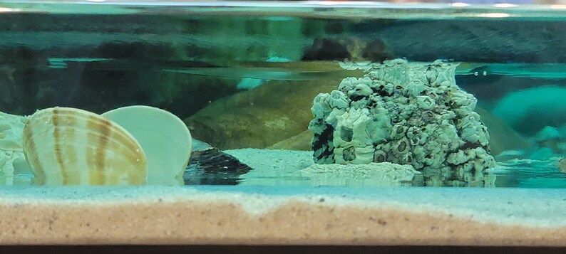 River Resin Tables - Etsy