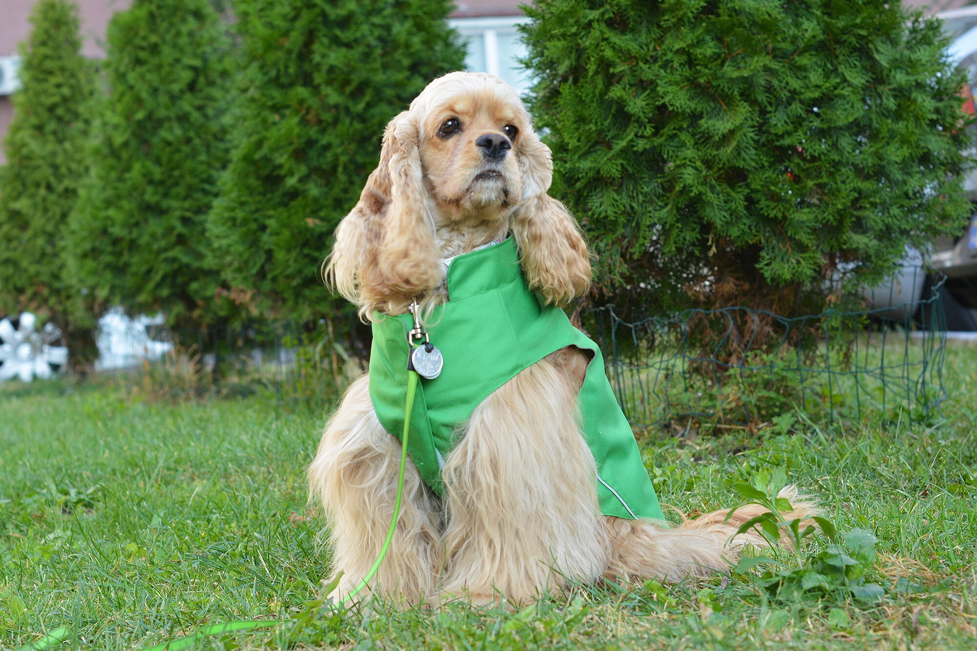 Dog Rain Jacket, Light Reflecting Coat for Dogs, Waterproof Dog Coat - Etsy