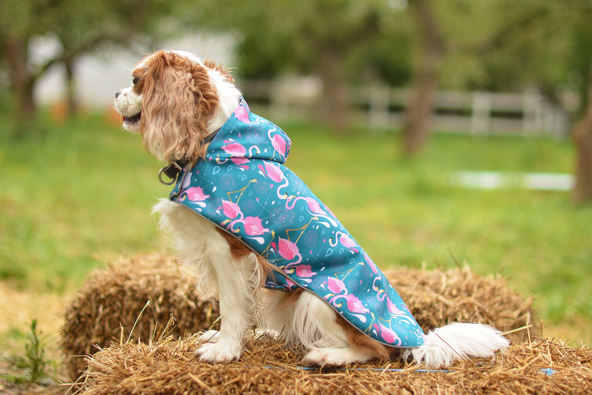Dog raincoat flamingo print light reflecting coat for dogs | Etsy