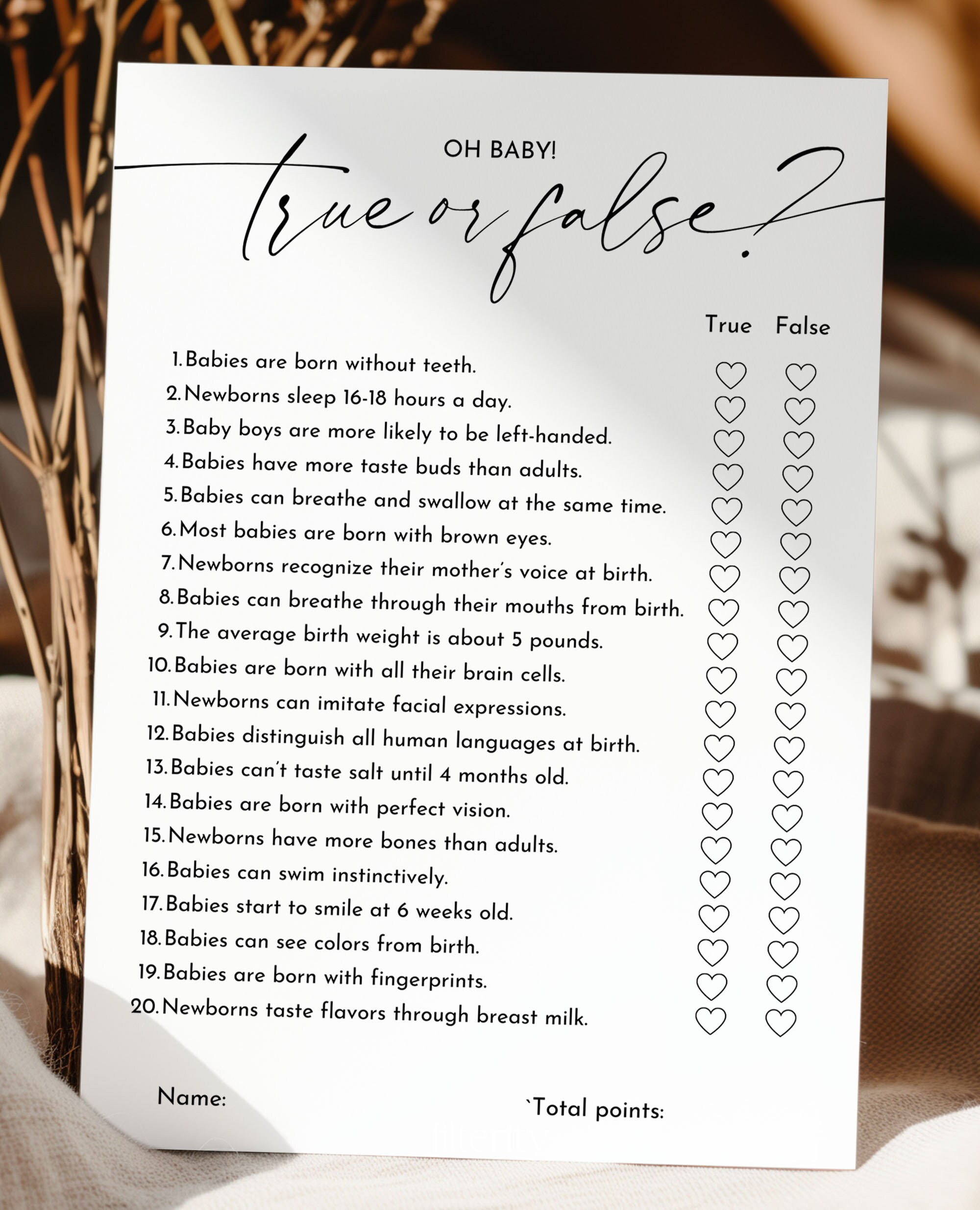 Baby Shower Game True or False With Answer Keys - Fun Baby Shower Game ...