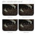 Wedding Instagram Filter, Wedding Instagram Effect, Custom Filter for ...