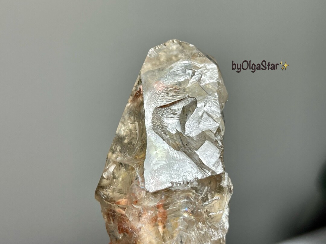 Elestial Jacaré Alligator Smokey Smoky Mini Quartz Water Clear Gem ...