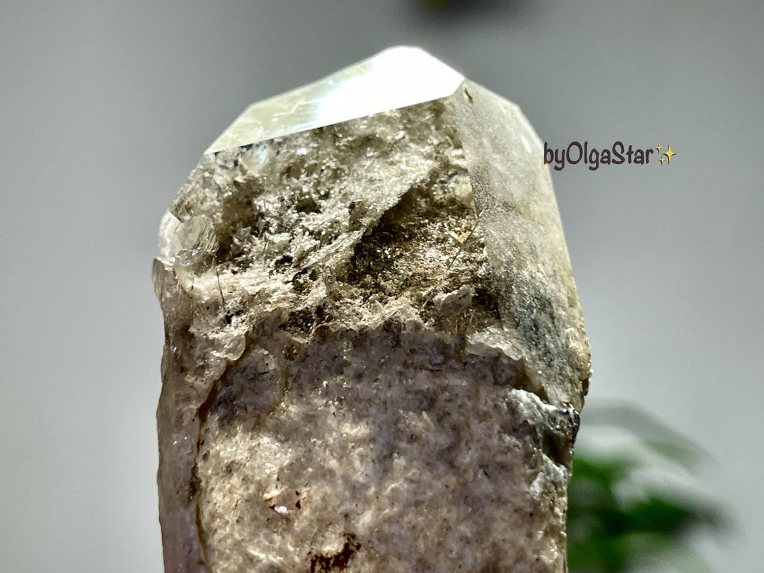 Grounding Anchoring Quartz Crystal Buddy Sand Inclusion Lodolite Garden ...