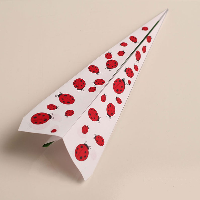 Lady Bugs, Lady Bug, Red and Black, Paper Airplane, Dots, Birthday ...