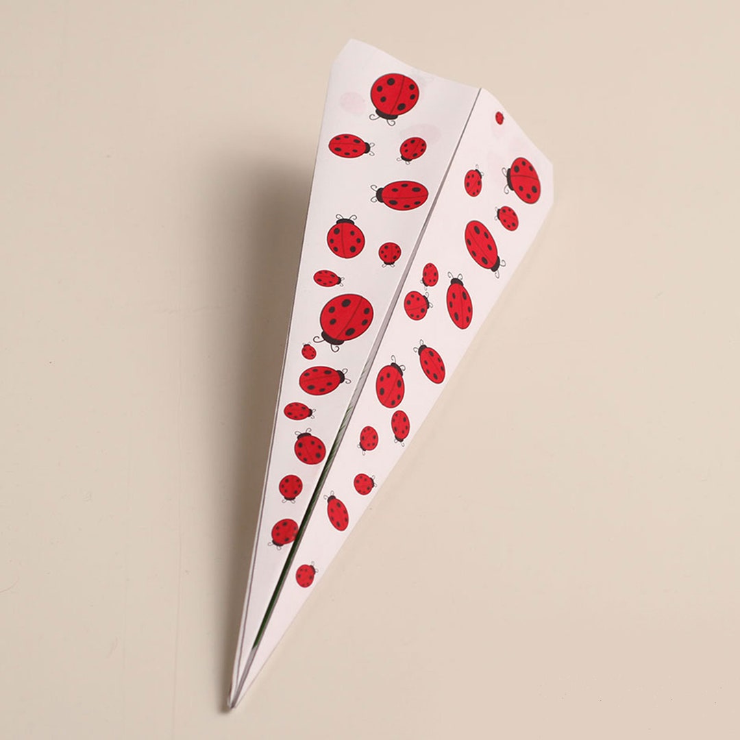 Lady Bugs, Lady Bug, Red and Black, Paper Airplane, Dots, Birthday ...
