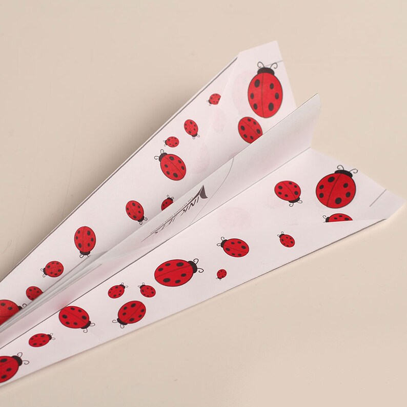 Lady Bugs Lady Bug Red and Black Paper Airplane Dots | Etsy