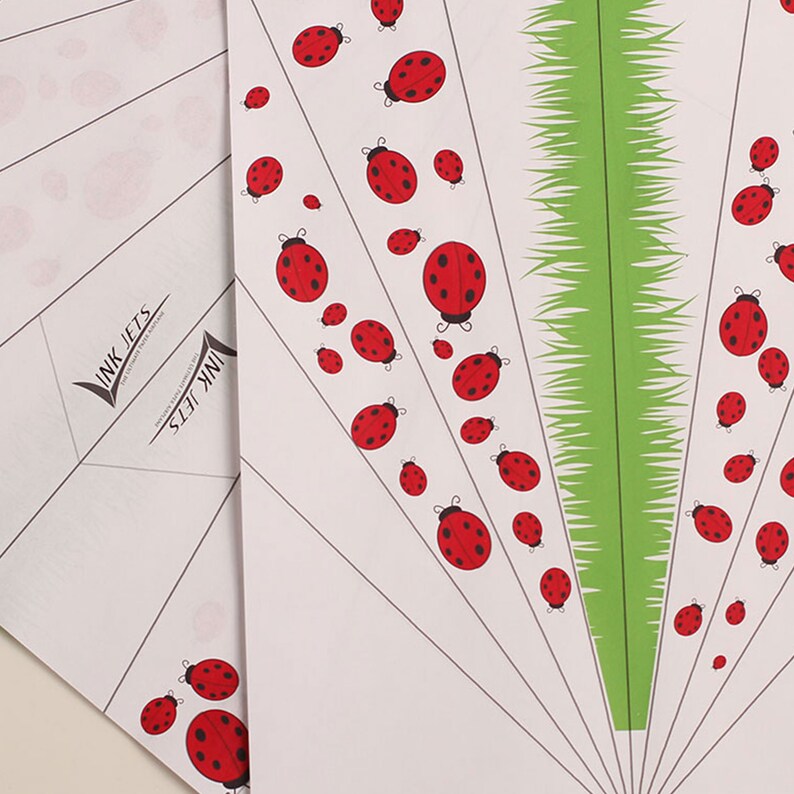 Lady Bugs, Lady Bug, Red and Black, Paper Airplane, Dots, Birthday ...