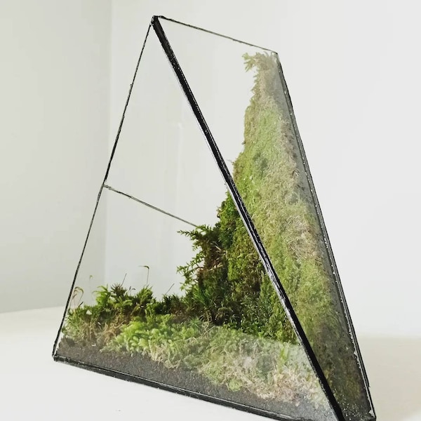 Geometric Terrarium - Etsy