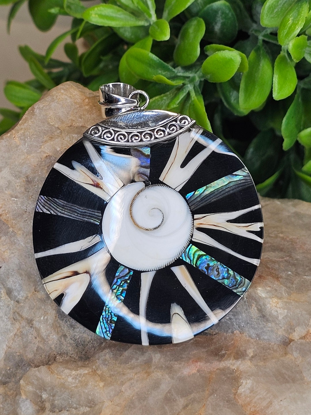 Resin and Abalone Starburst Shiva Shell and 925 Silver Pendant Necklace ...