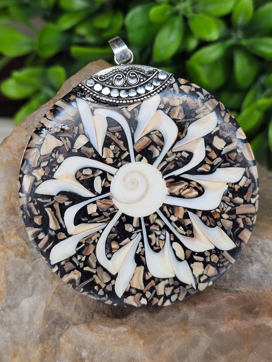 Resin Starburst Shiva Shell and 925 Silver Pendant Necklace - Etsy