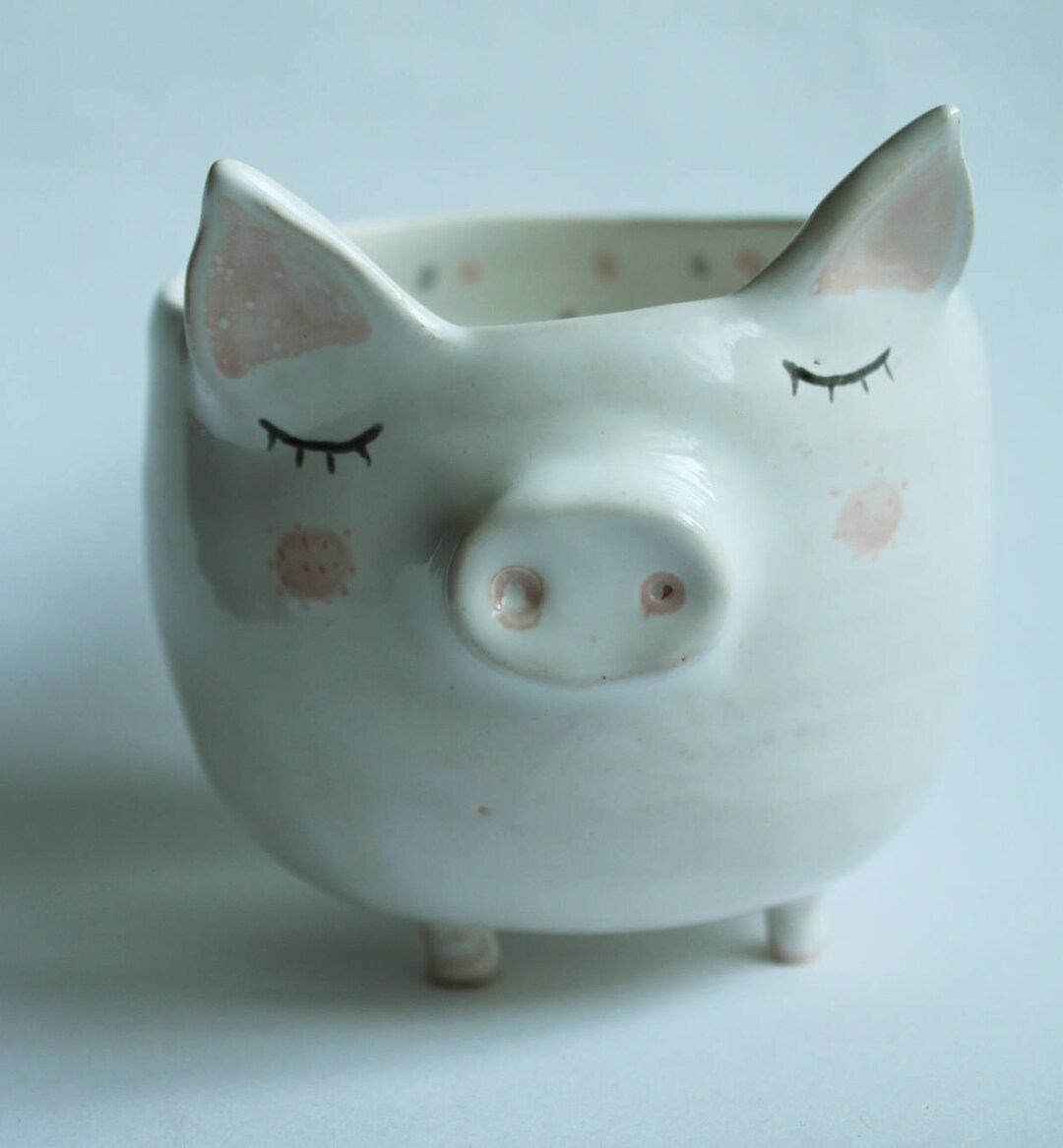 Aurelius the Pig - Sweet Ceramic Pig Bowl, Planter MADE TO ORDER - Etsy