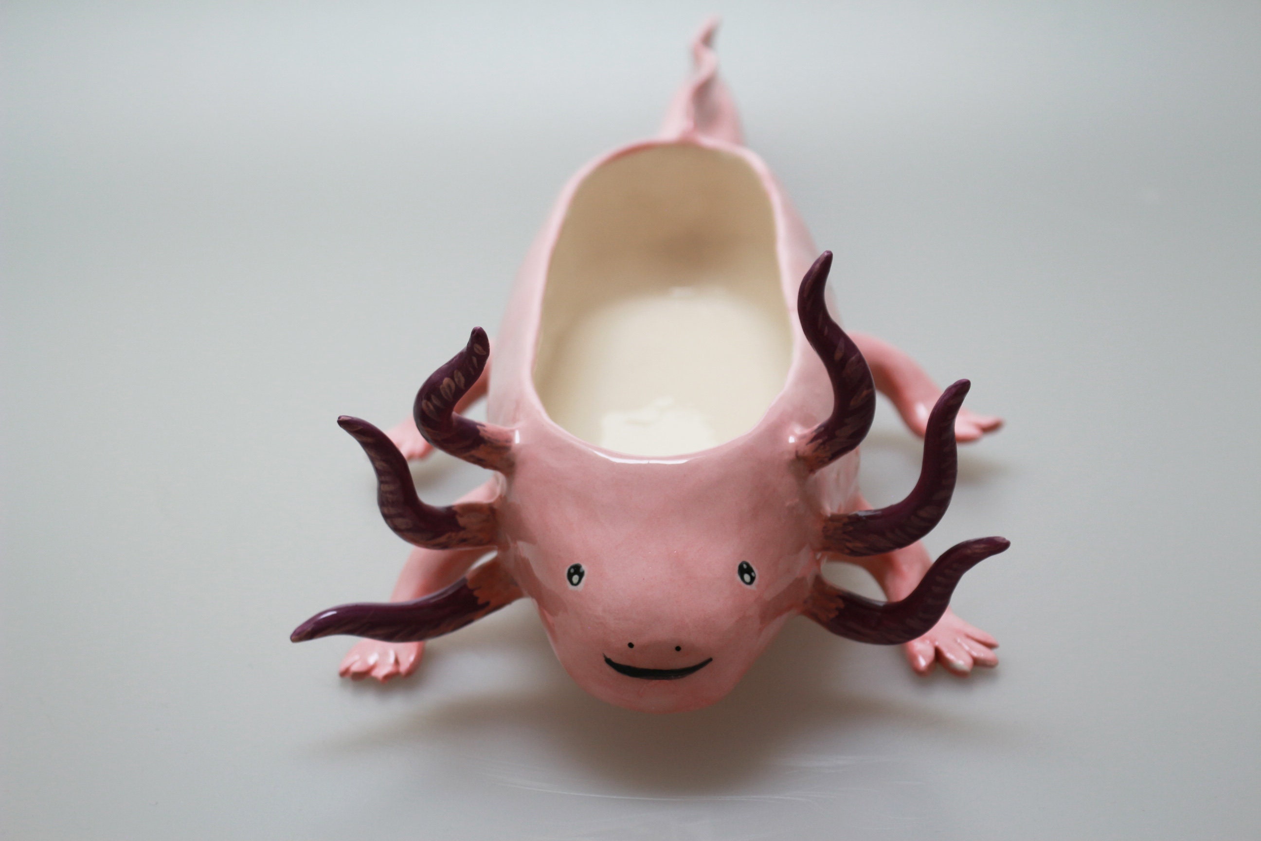 Super Cute Axolotl Animal Planter Handmade Planter Ceramic - Etsy