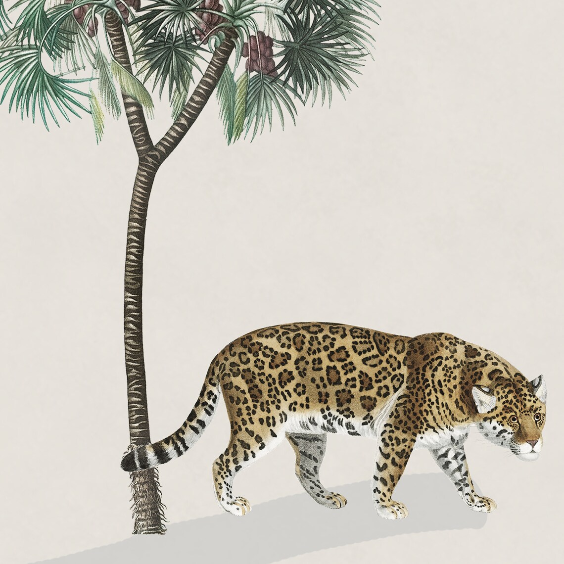 Vintage Leopard Art Print Mid Century Modern Art Jungle - Etsy